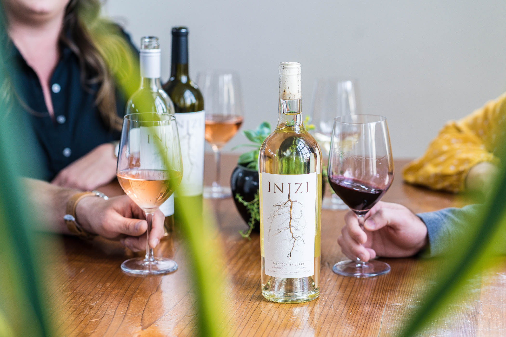 INIZI Wines | Napa & Sonoma County Wines